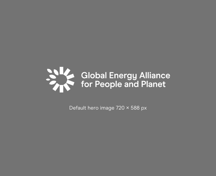 Our Board - Global Energy Alliance for People and Planet (GEAPP)